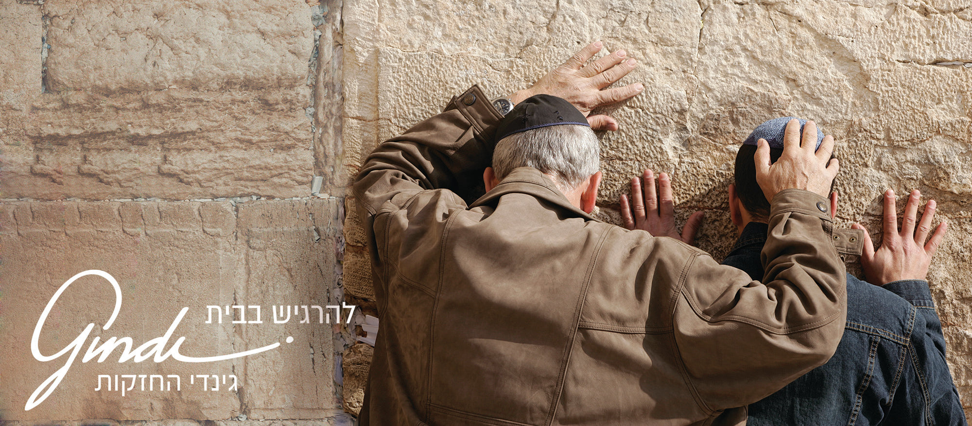 Gindi גינדי החזקות - האתר הרשמי : Gindi גינדי החזקות